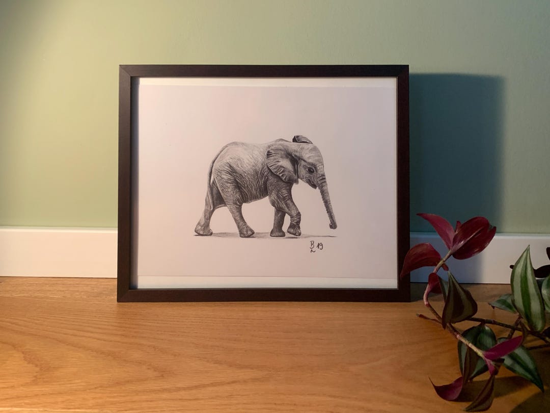 Art Print Illustration, Elephant A4 - Etsy