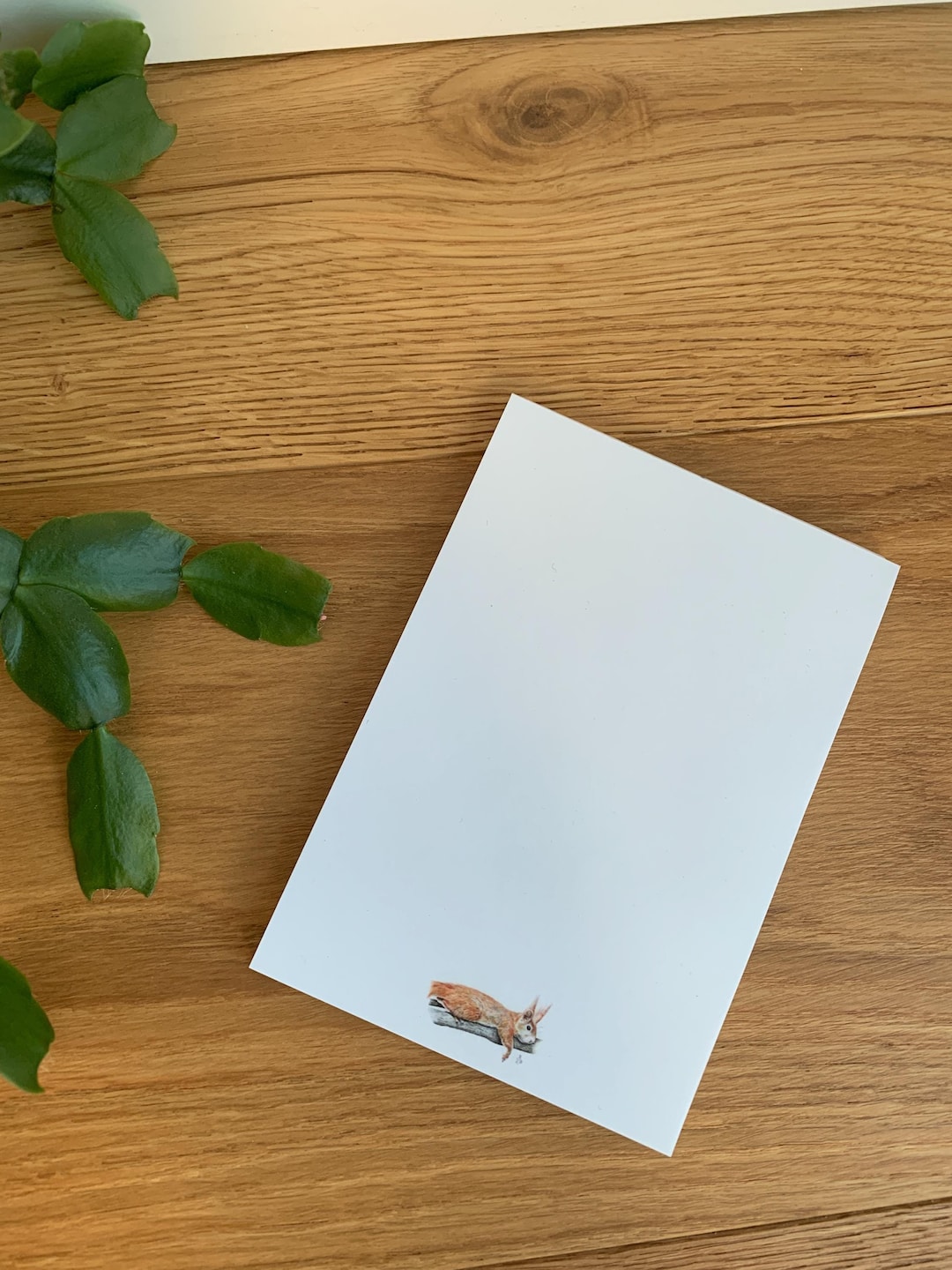 Notepad Illustration Squirrel, 50 Sheets - Etsy