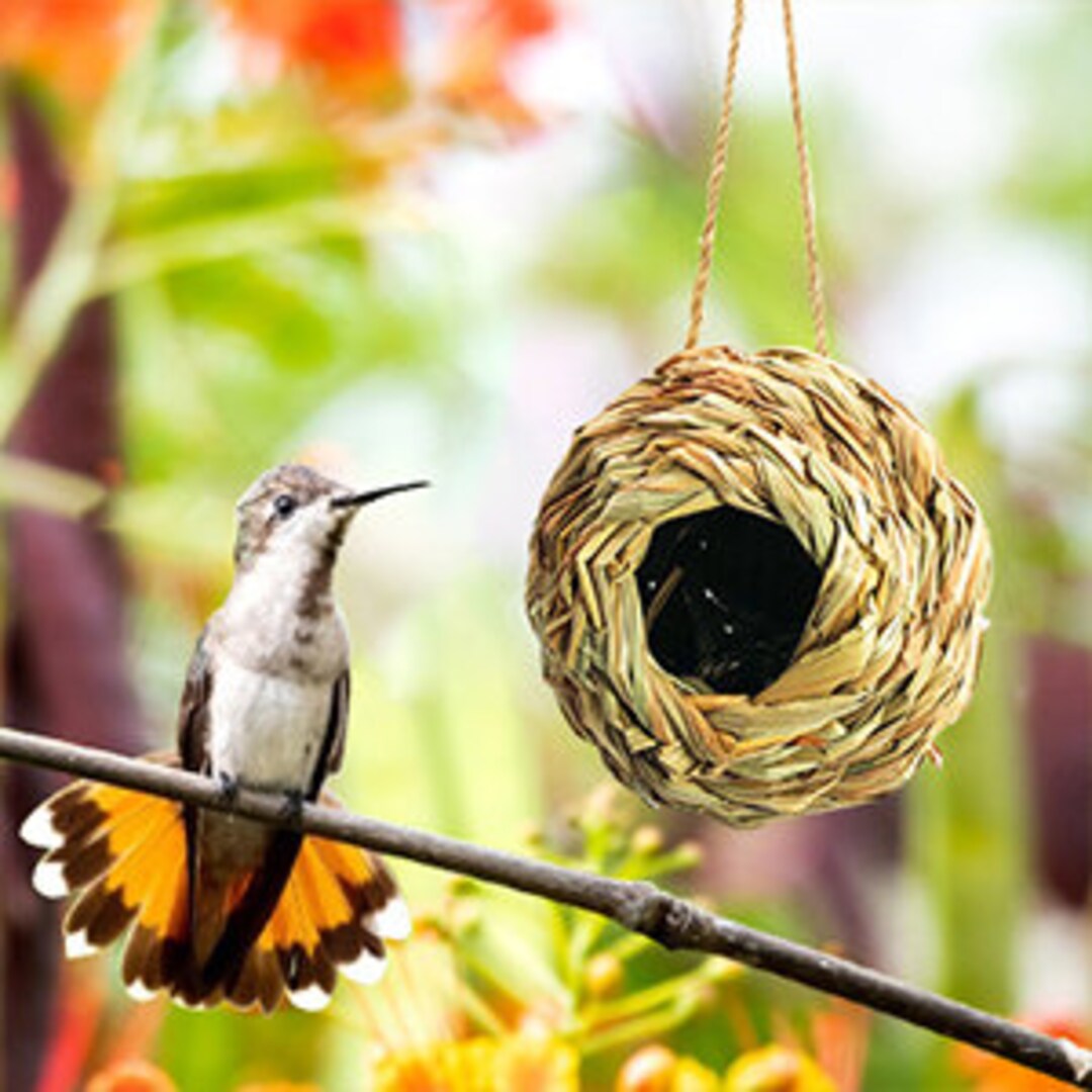 4pcs Woven Hummingbird Nest House Perfect for Outdoor Garden and Yard ...