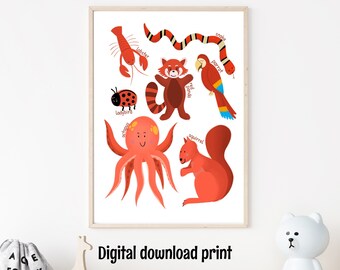 Rainbow of Animals 8x10 - Etsy