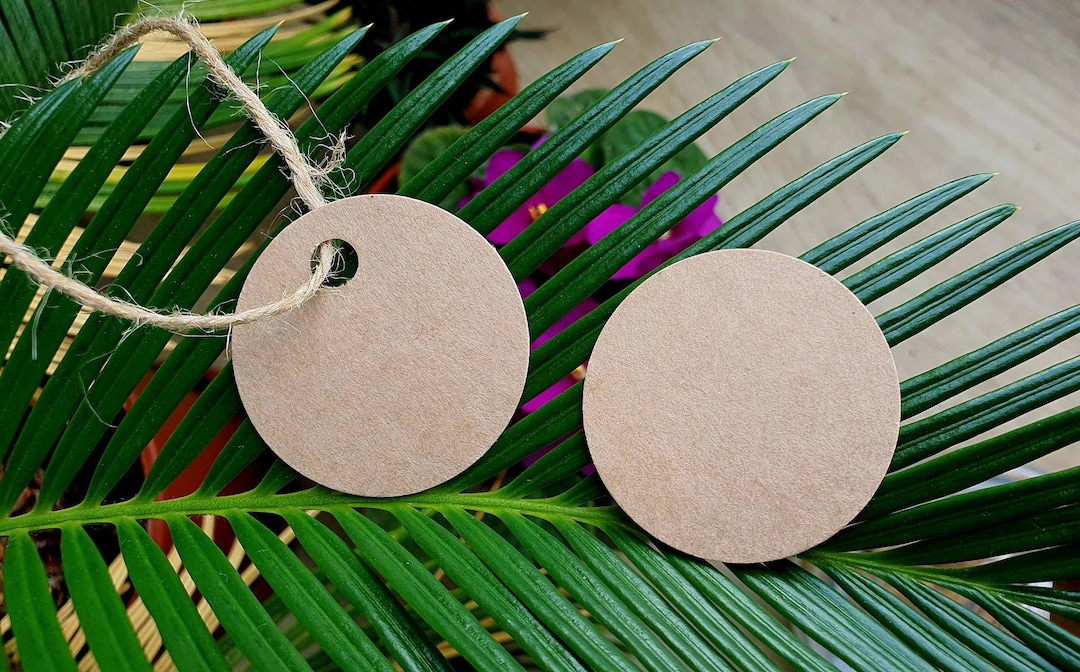 Kraft Paper Tag 50 Pcs Kraft Tags Circle Round Tag Price Tag Hang Tags ...