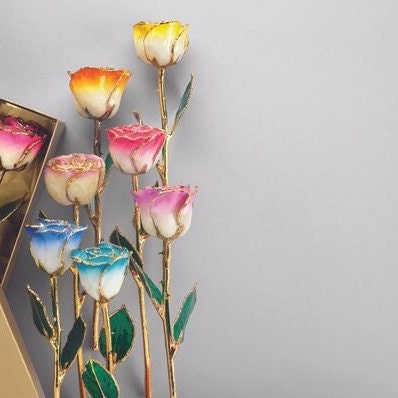 24kt Gold Long Stem Rose Timeless Forever Natural, Hand-picked ...