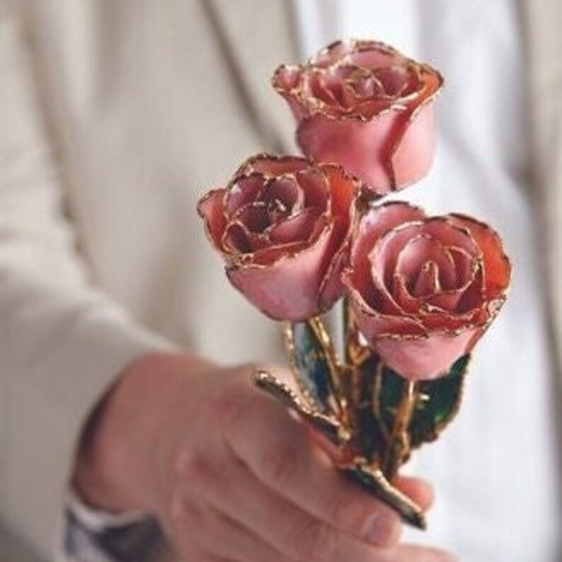 24kt Gold Long Stem Rose Timeless Forever Natural, Hand-picked ...