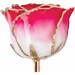 24kt Gold Long Stem Rose Timeless Forever Natural, Hand-picked ...