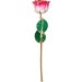 24kt Gold Long Stem Rose Timeless Forever Natural, Hand-picked ...
