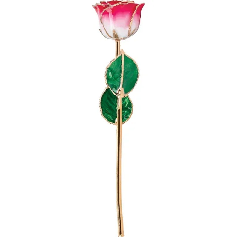 24kt Gold Long Stem Rose Timeless Forever Natural, Hand-picked ...