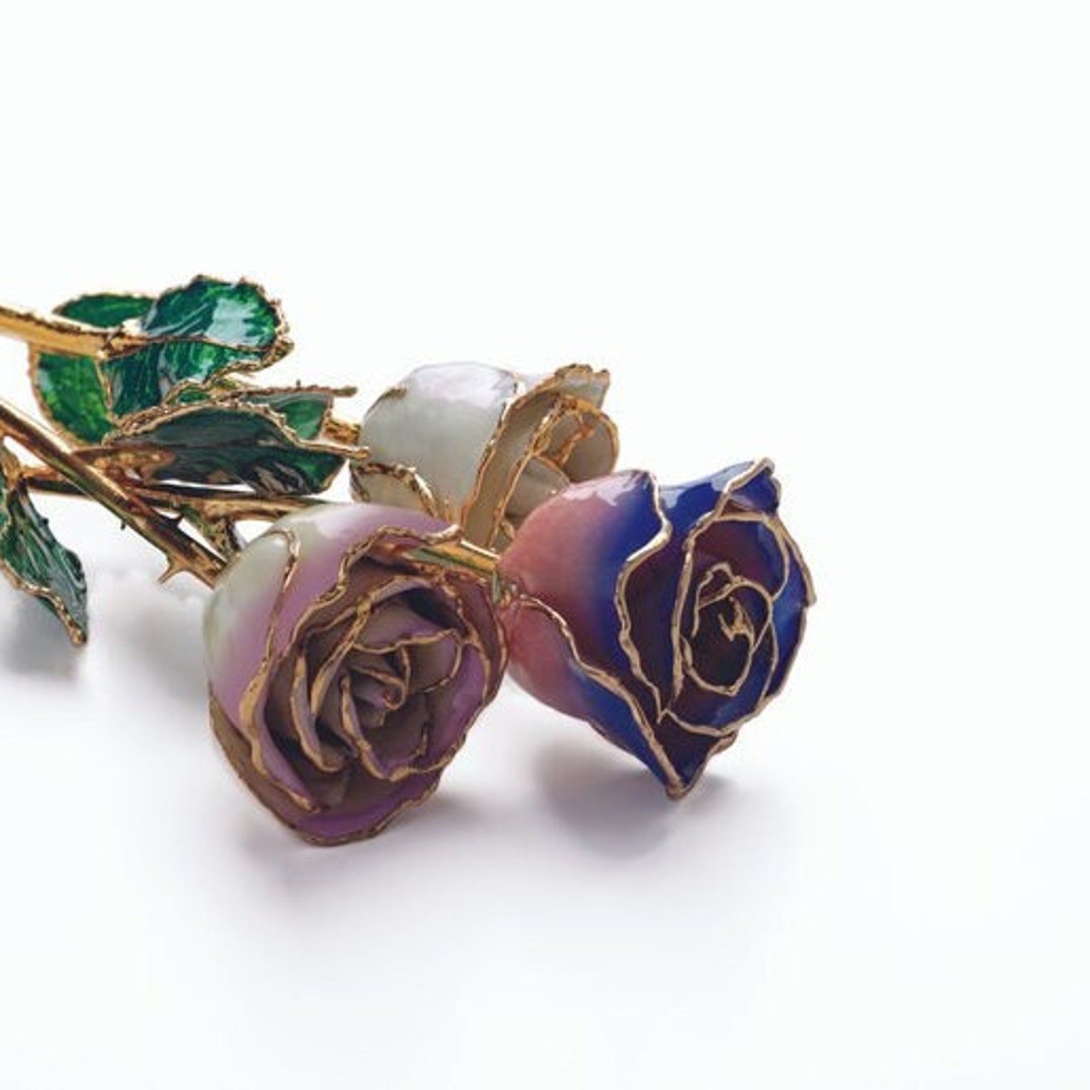 24kt Gold Long Stem Rose Timeless Forever Natural, Hand-picked ...