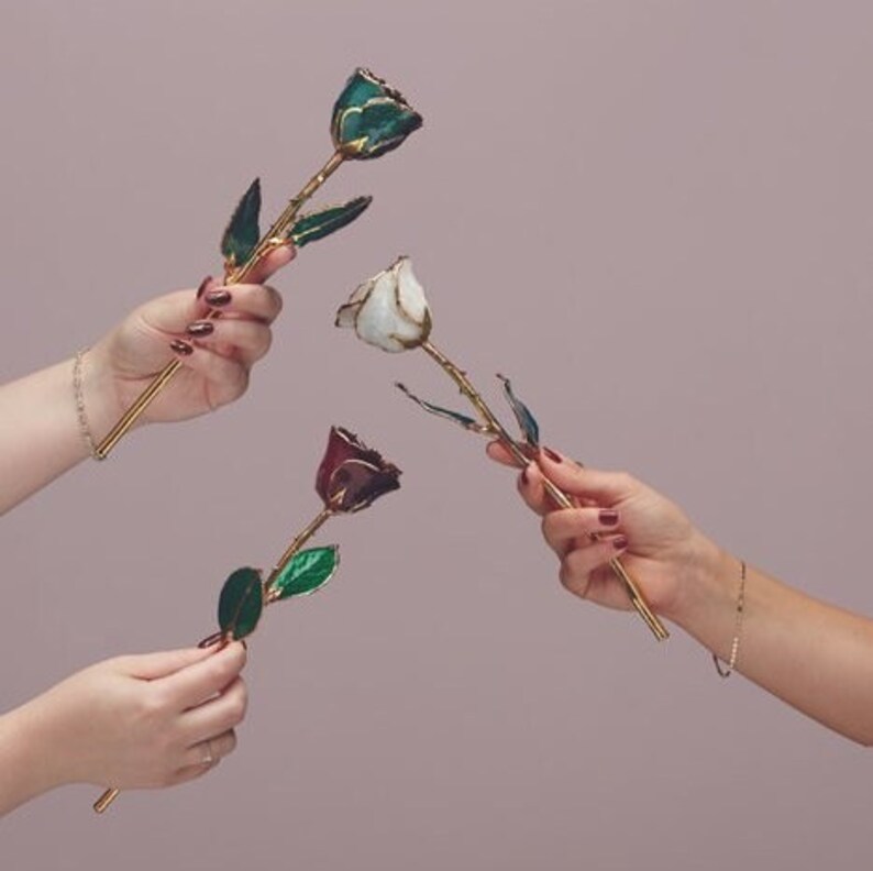 24kt Gold Long Stem Rose Timeless Forever Natural, Hand-picked ...