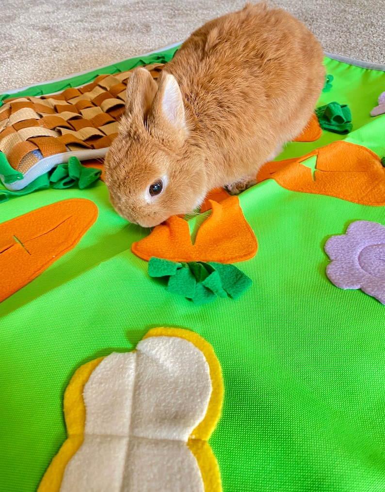 Carrot Snuffle Mat Puzzle Feeding Mat Activity Mat for Rabbit | Etsy