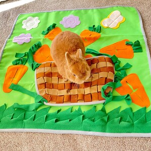 Carrot Snuffle Mat Puzzle Feeding Mat Activity Mat for Rabbit - Etsy