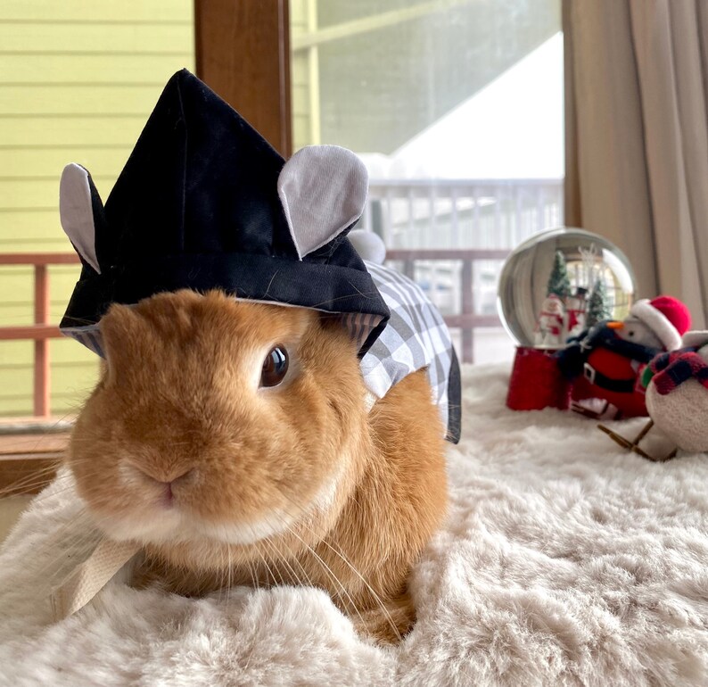 Scotch Plaid Rabbit Ears Harness for Rabbit Bunny Small Pet | Etsy