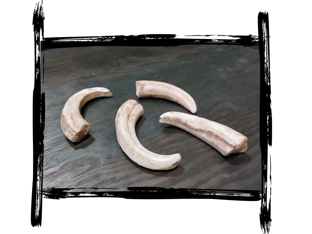 Boar Tusks Foam Prop for LARP, Cosplay & Film | DIY Customizable - Etsy UK