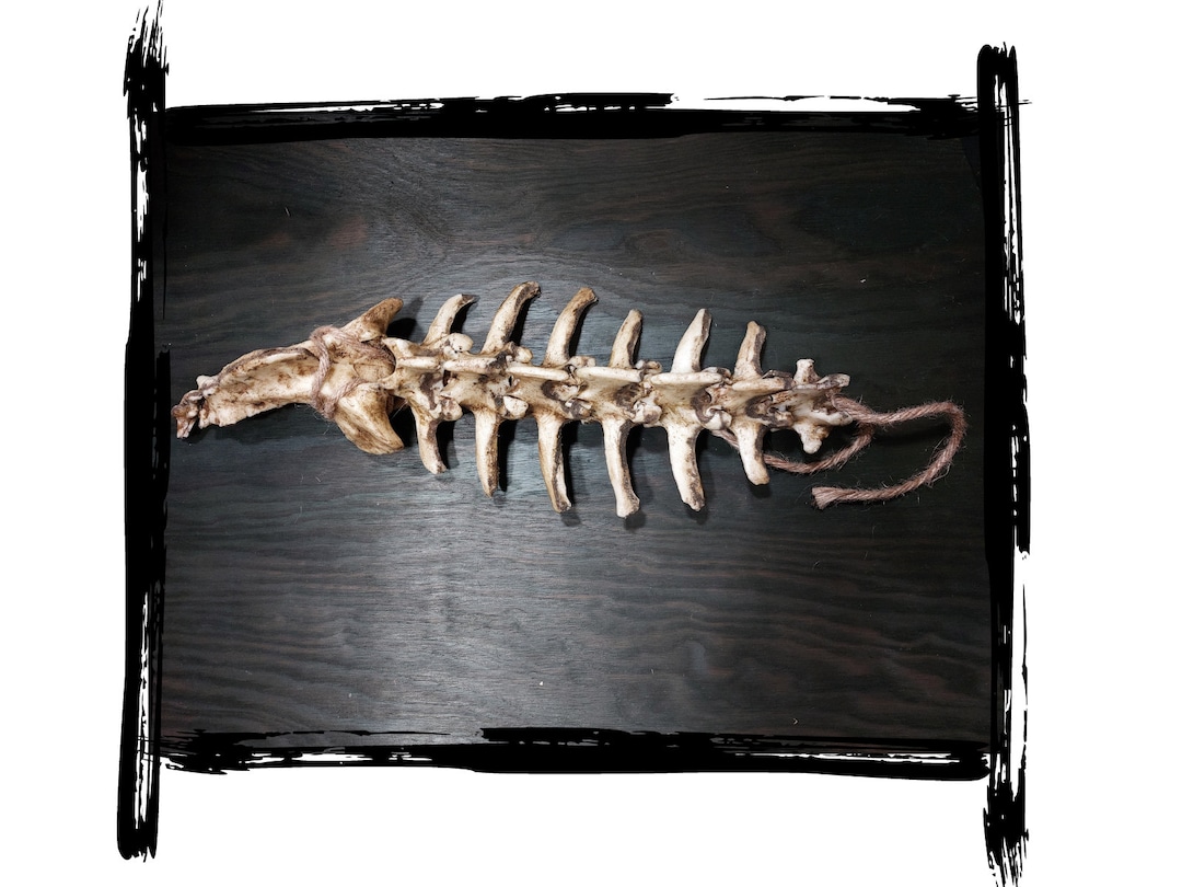 Spine | LARP, Cosplay, Film | Foam Prop - Etsy