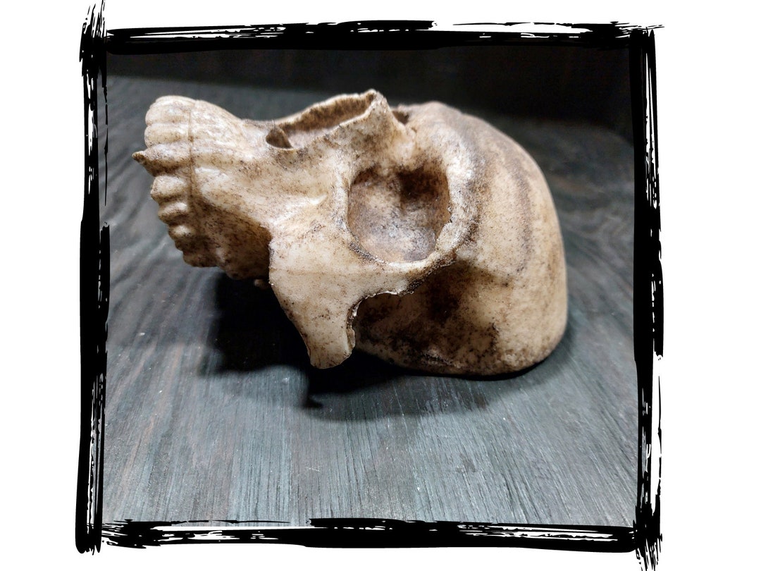 Skull Human Half | LARP, Cosplay, Film | Foam Prop - Etsy