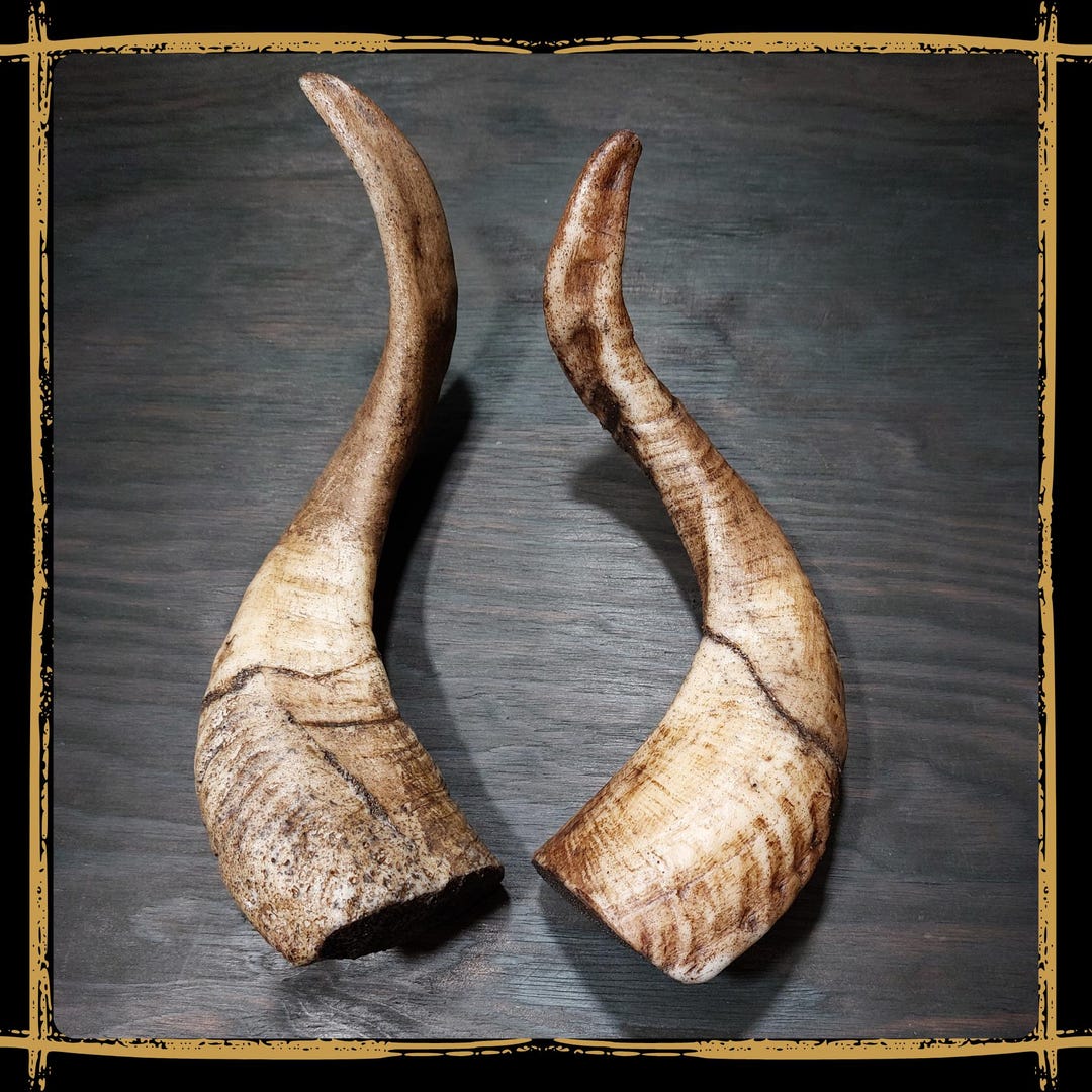Horns Goat Foam Prop for LARP, Cosplay & Film | DIY Customizable - Etsy ...