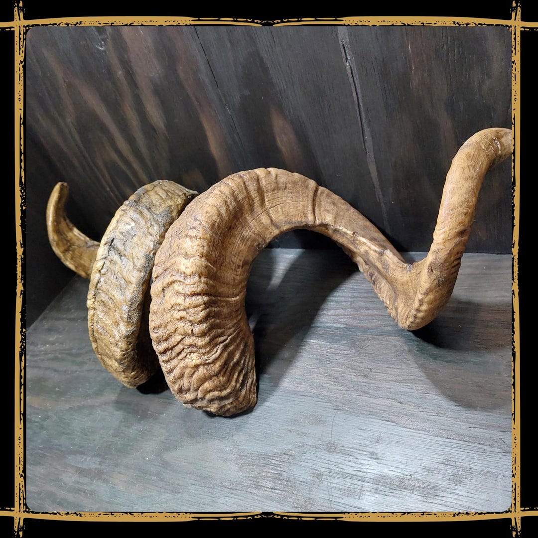Horns Ram Foam Prop for LARP, Cosplay & Film | DIY Customizable - Etsy