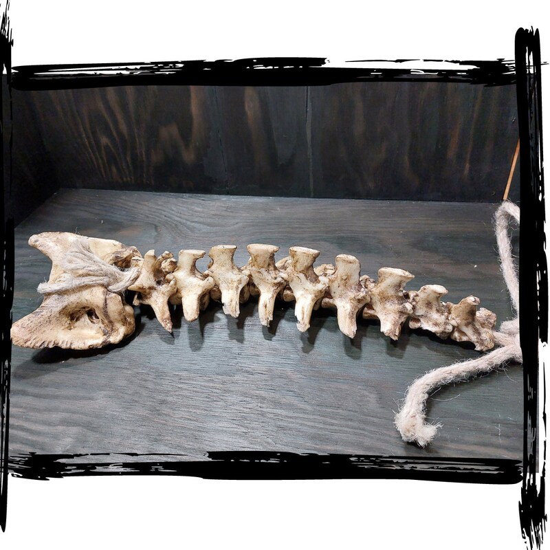 Larp Props - Etsy