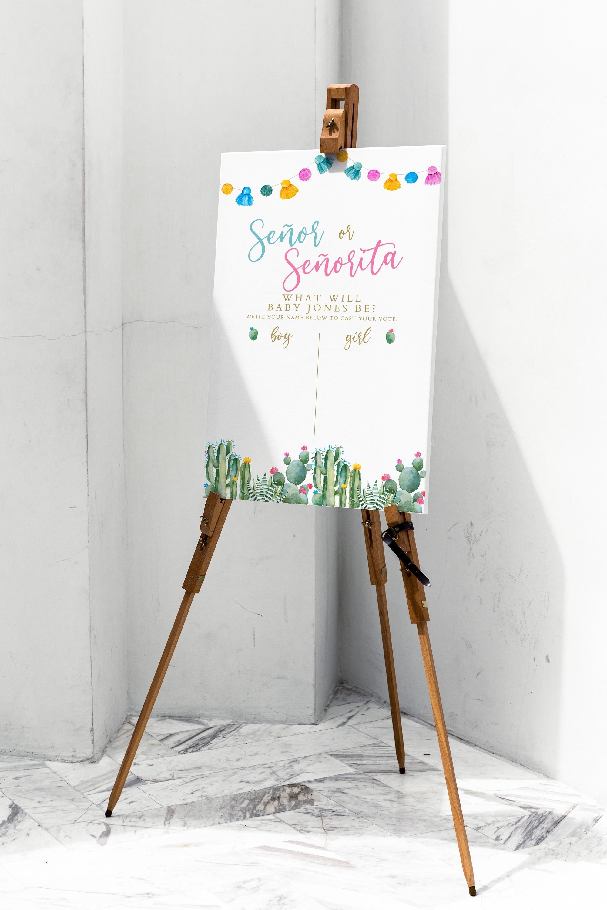Señor or Señorita Gender Reveal Voting Board Sign, Cactus Boy or Girl ...