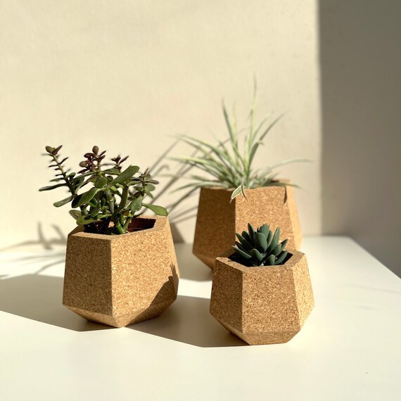Cork Planter Natural Cork Plant Pot Decorative Hexagonal - Etsy
