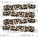 2 Animal Print Png, Leopard PNG, Zebra Png, Animal Print Clip Art, PNG ...