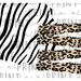 2 Animal Print Png, Leopard PNG, Zebra Png, Animal Print Clip Art, PNG ...