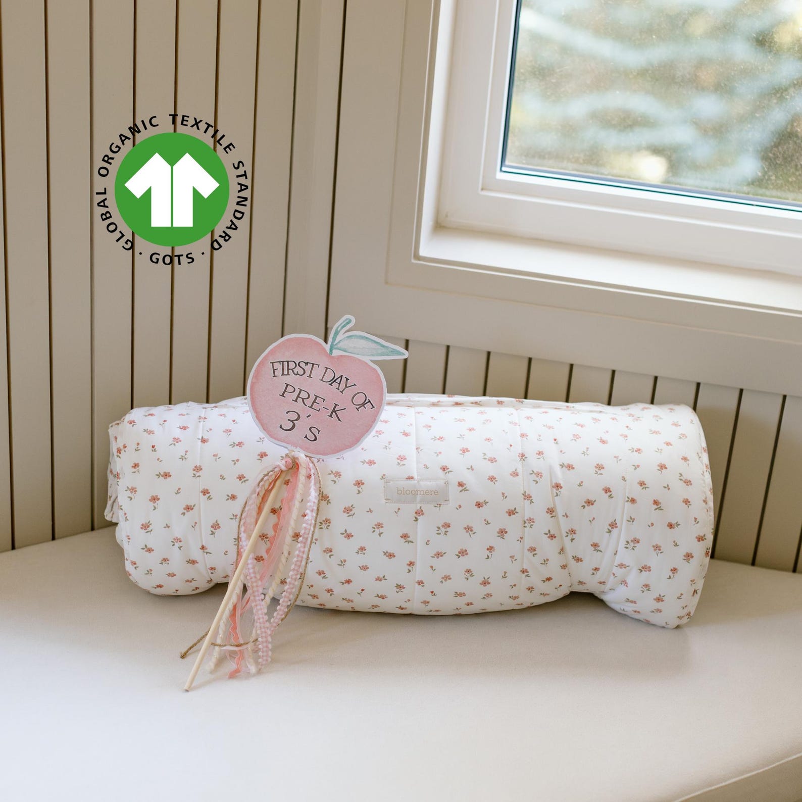 Organic Cotton (OEKO-TEX) Nap Mat With Detachable Pillow for Toddlers ...