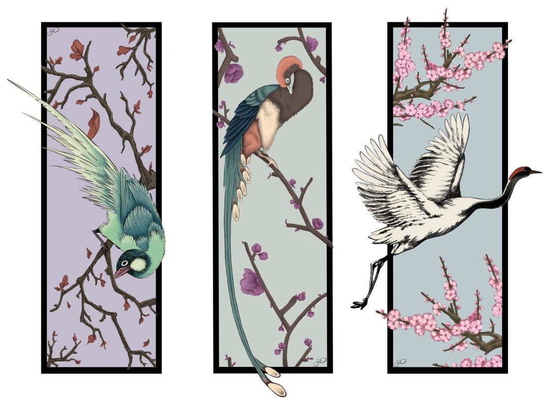 Avium: Bird Triptych Art Print (procreate) - Etsy