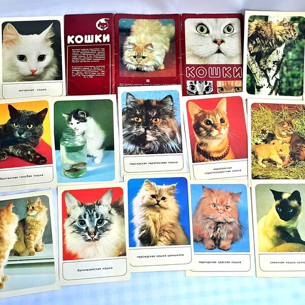 Russian Postcards - Etsy