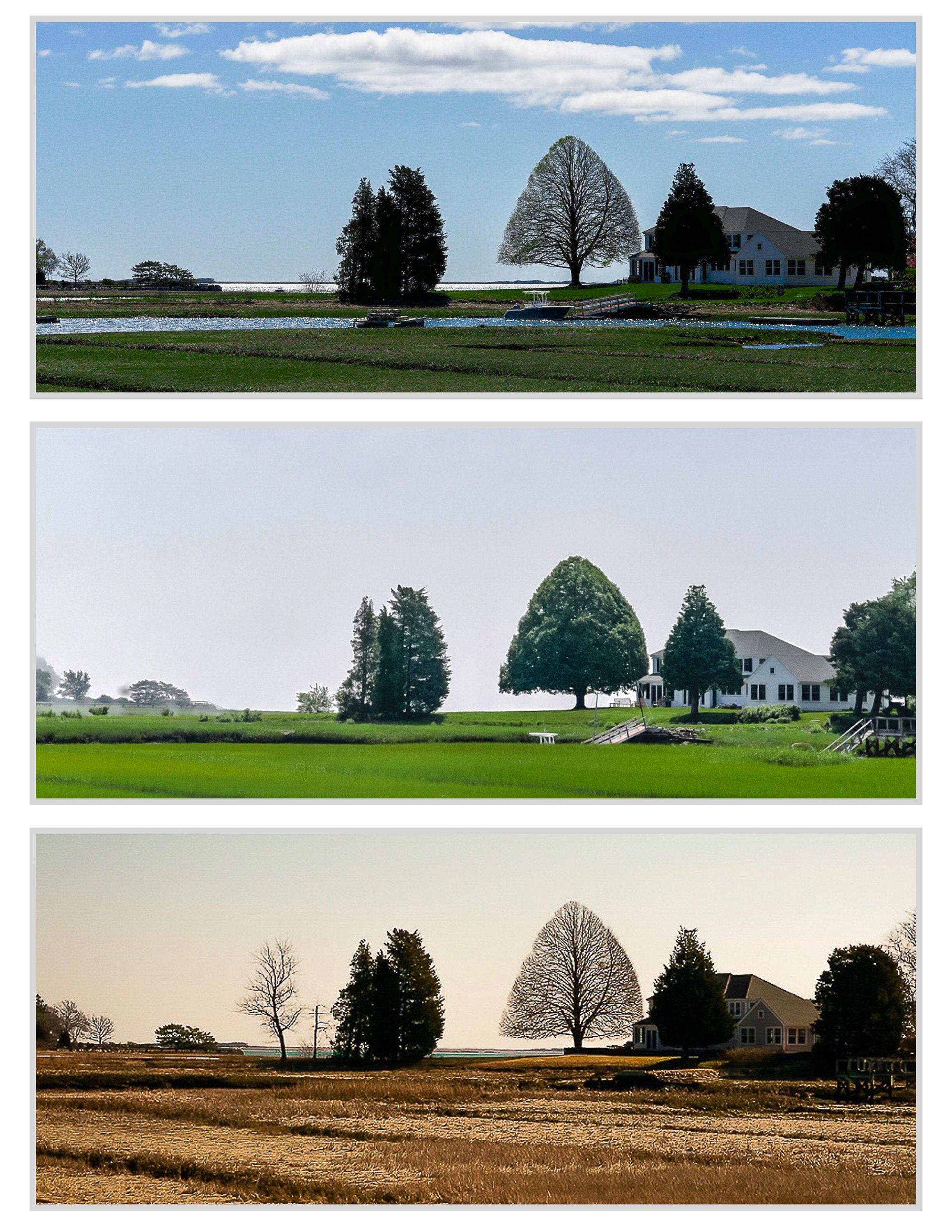 The Seasons in Series: Spring, Summer, Winter Scenes; Duxbury ...