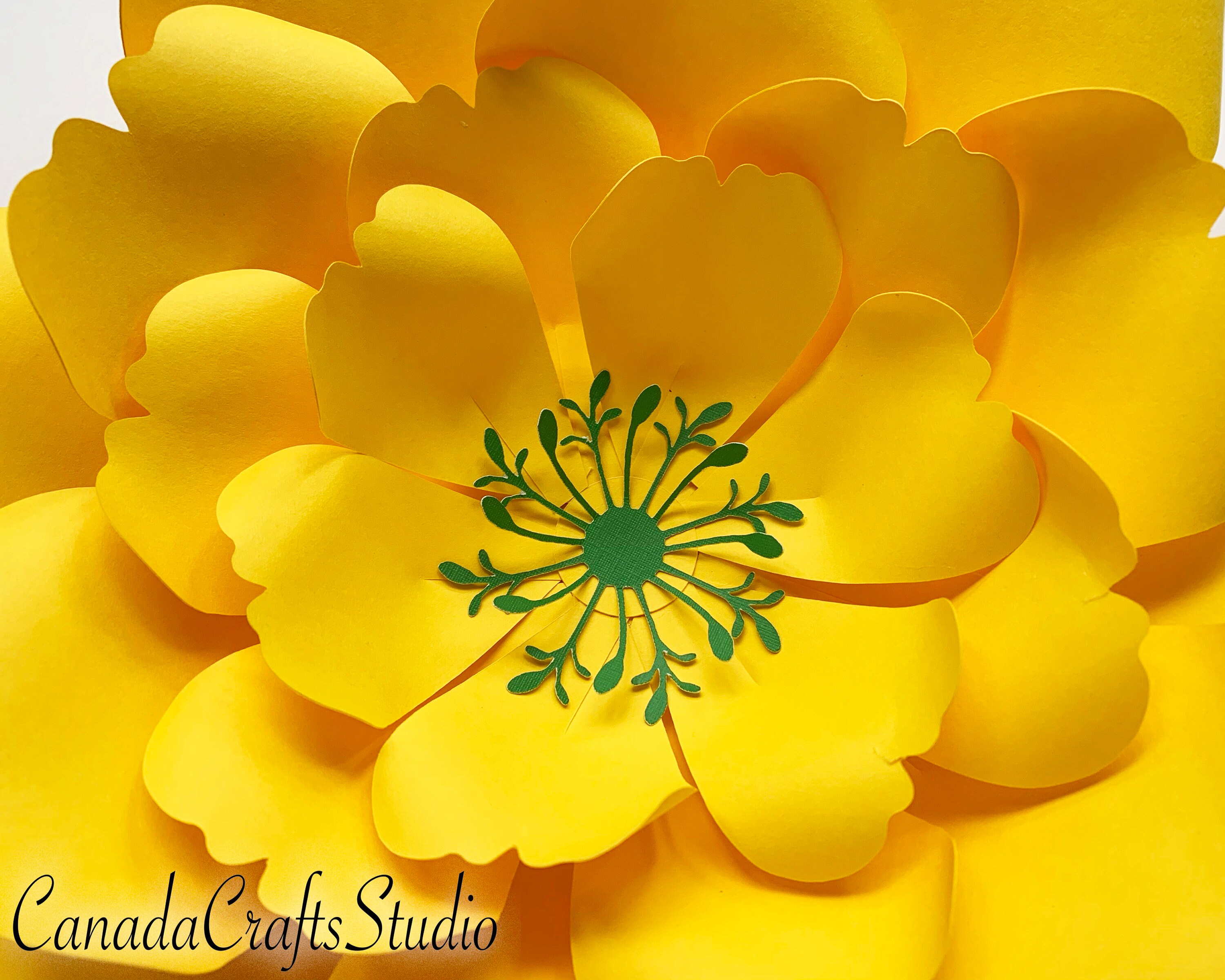 SVG/DXF Paper Flower Template - Etsy