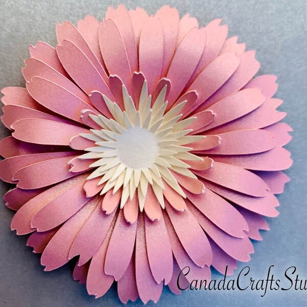 Gerbera Daisy - Etsy