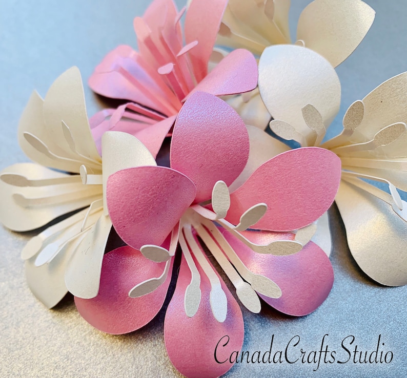 SVG/DXF/PNG Paper Flower Template Lily + Tutorial - Etsy Canada