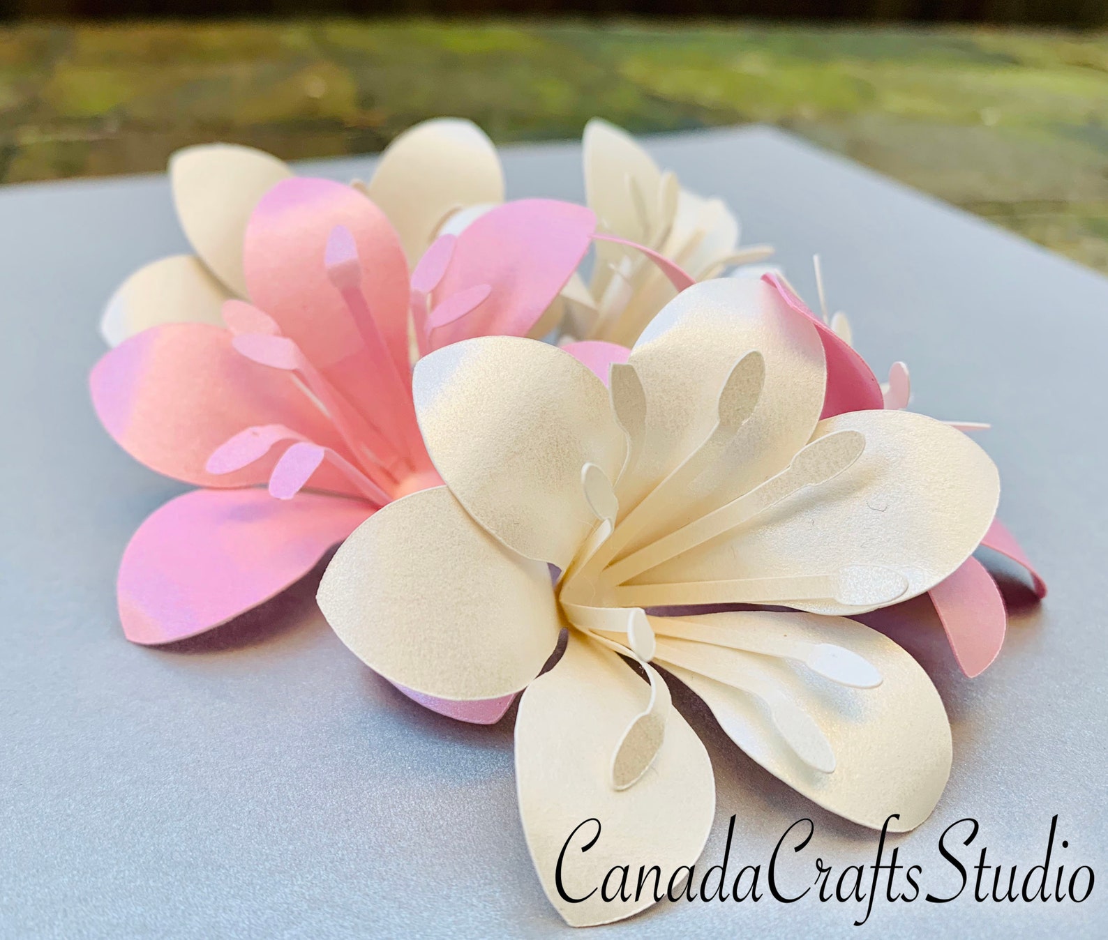 SVG/DXF/PNG Paper Flower Template Lily + Tutorial - Etsy