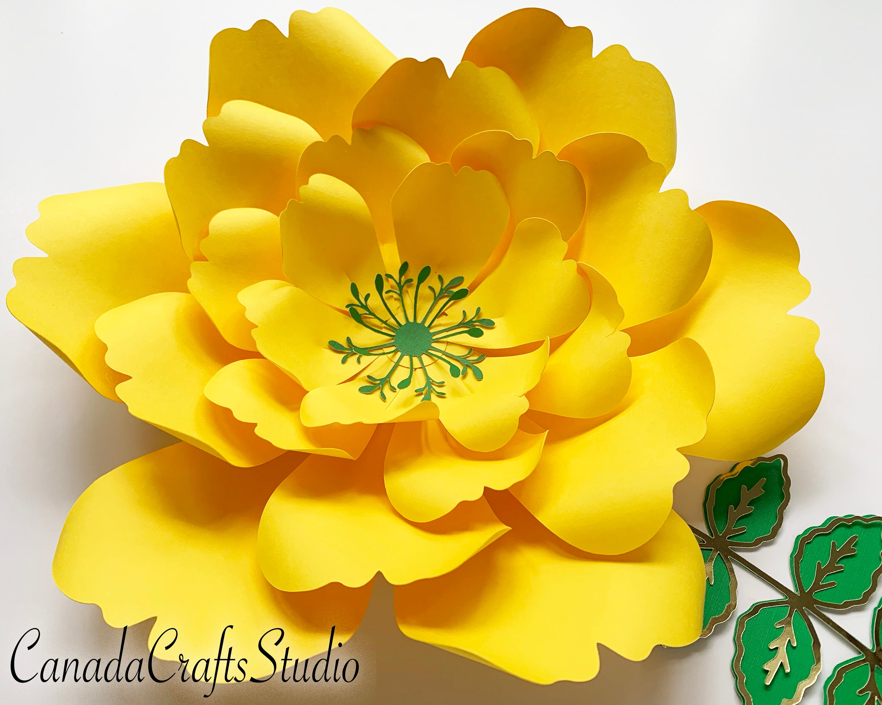 SVG/DXF Paper Flower Template - Etsy