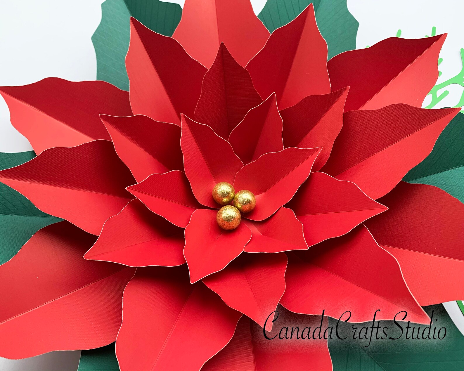 SVG DXF Giant Poinsettia Paper Flower Template Leaf Etsy