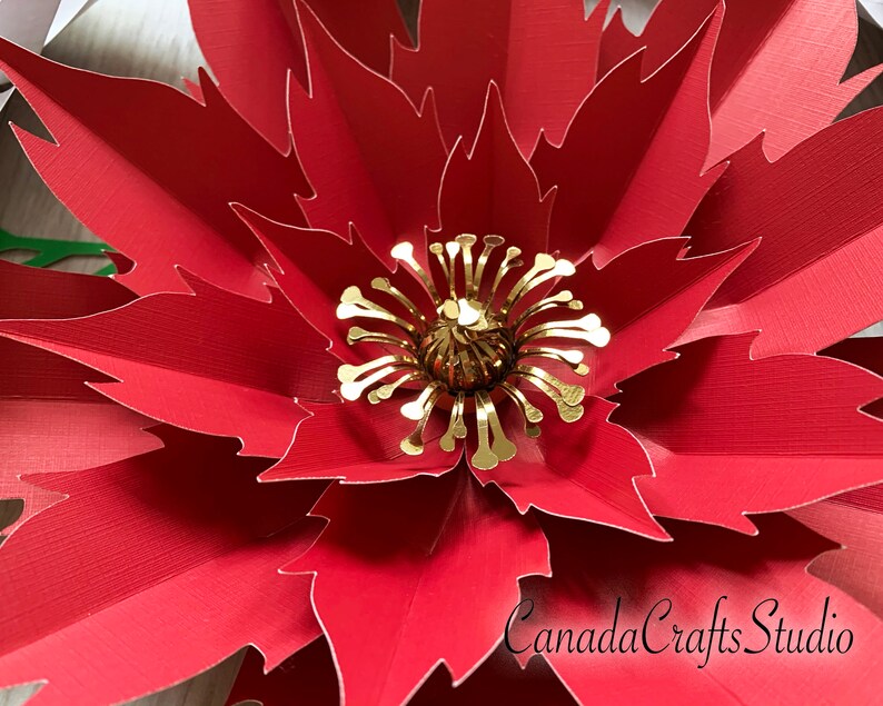 giant-poinsettia-paper-flower-template-2-svg-dxf-etsy