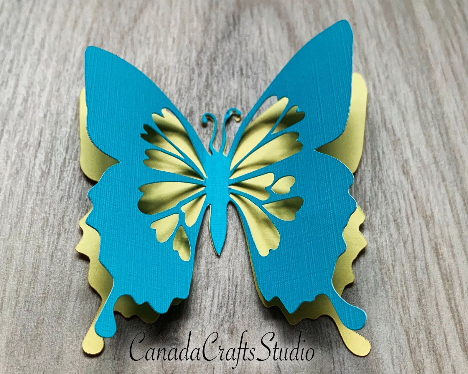 7 Butterfly Templates SVG Butterfly Bundle SVG Butterfly DXF - Etsy