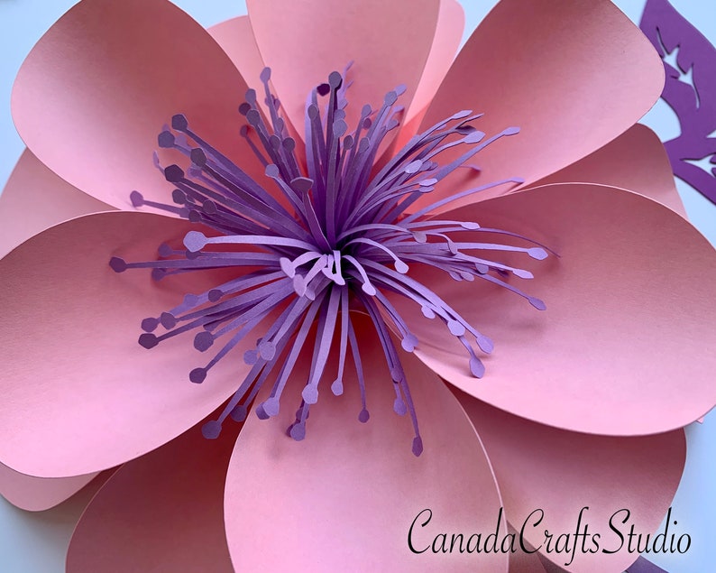 SVG/DXF Paper Flower Template Leaf Butterfly - Etsy