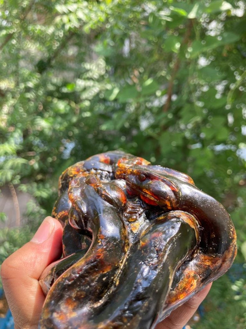 RARE Amber Snakes Carving Simojovel Chiapas fine Minerals - Etsy