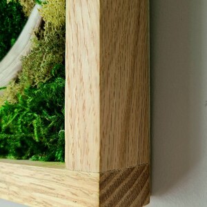 Moss Wall Art Hanging Frame - Etsy Canada