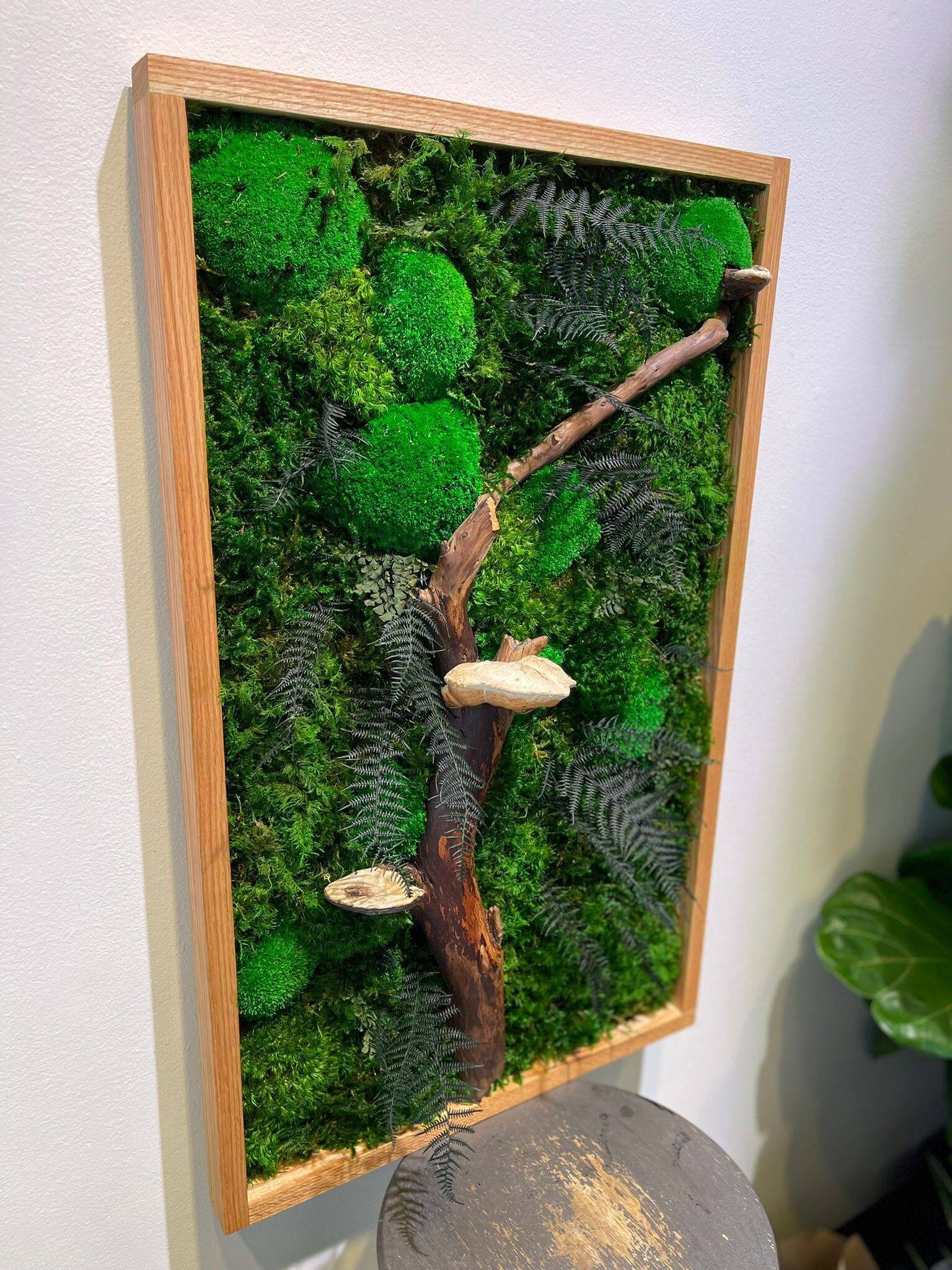 Moss Wall Art Hanging Frame - Etsy Canada