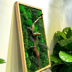 Moss Wall Art Hanging Frame - Etsy Canada