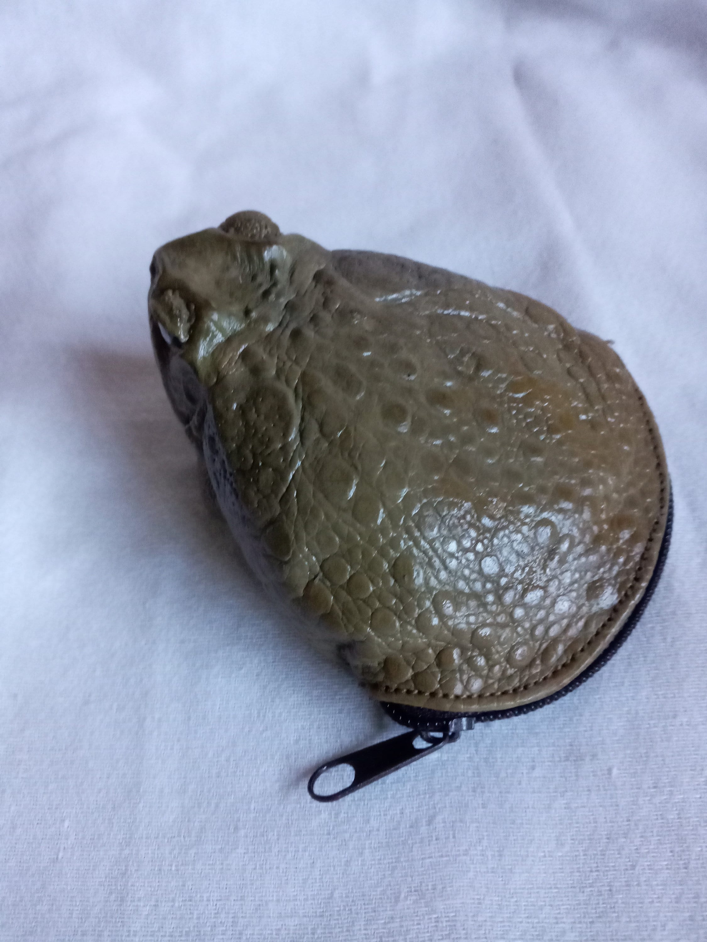 Tanned Toad Cane Frog Leather Zip Coin Purse Wallet | Etsy