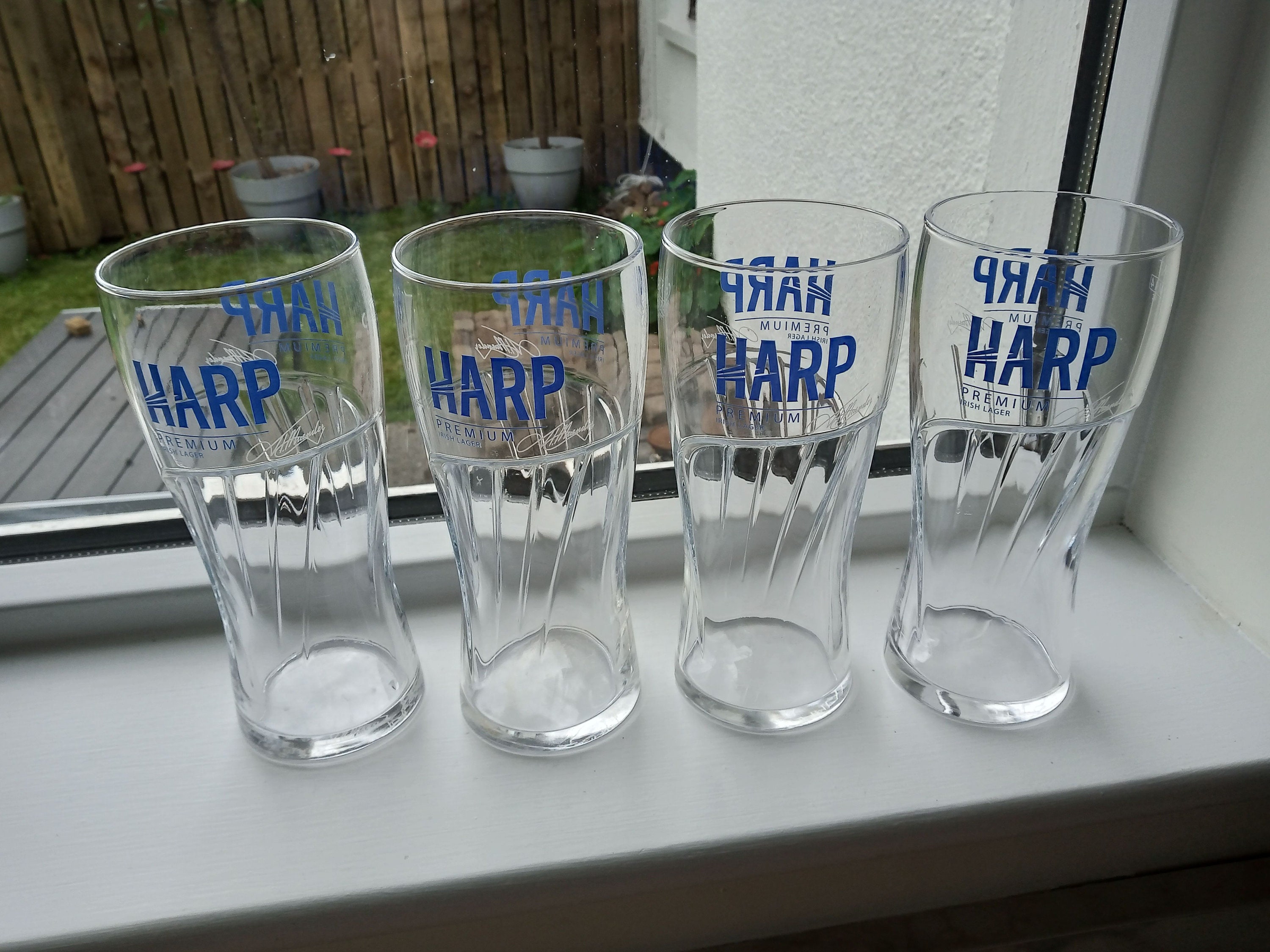 Harp Lager Pint