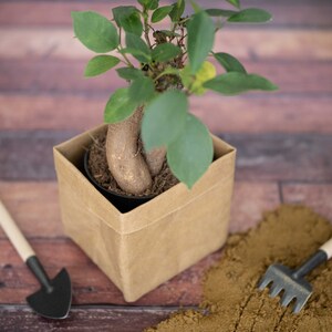 Storage Box Natural Kraft Washable Paper Vegan Eco Friendly Home ...