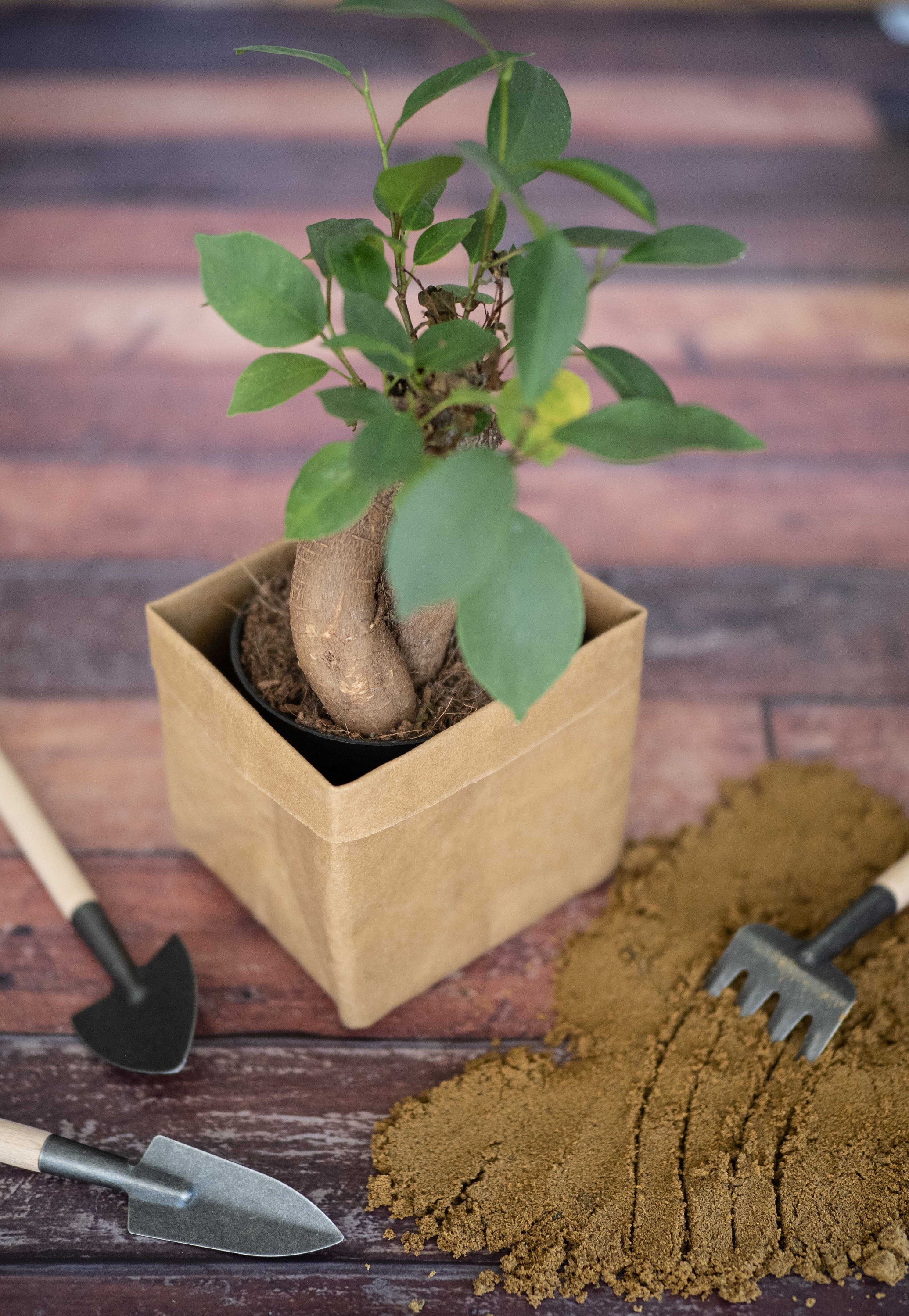 Storage Box Natural Kraft Washable Paper Vegan Eco Friendly - Etsy UK