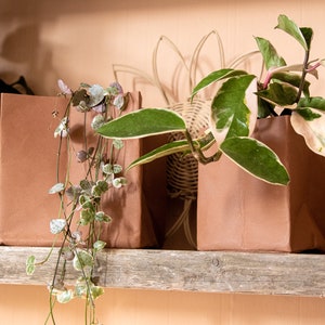 Storage Box Natural Kraft Washable Paper Vegan Eco Friendly Home ...