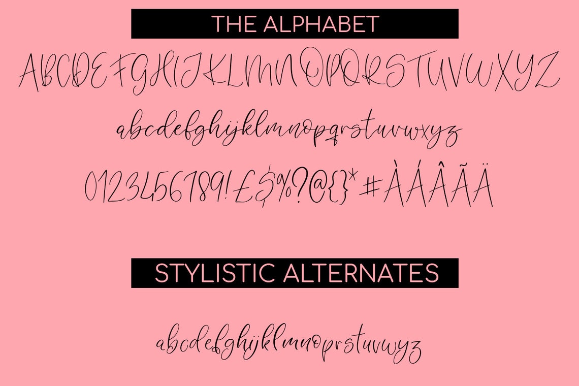 Angelina Font Wedding Font Script Font Calligraphy Font | Etsy