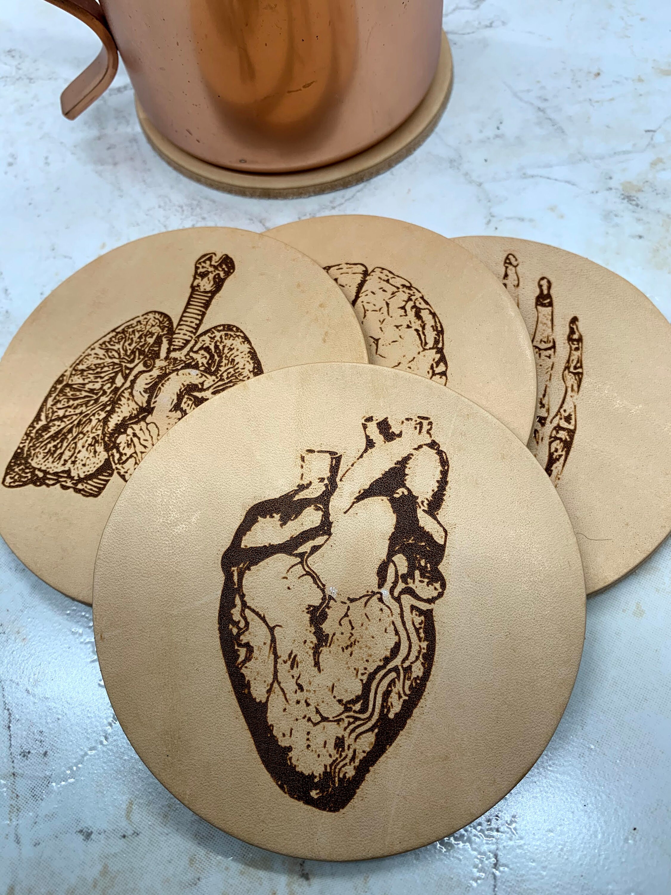Set-Human Anatomy Leather CoastersNurseDoctorMedical School | Etsy