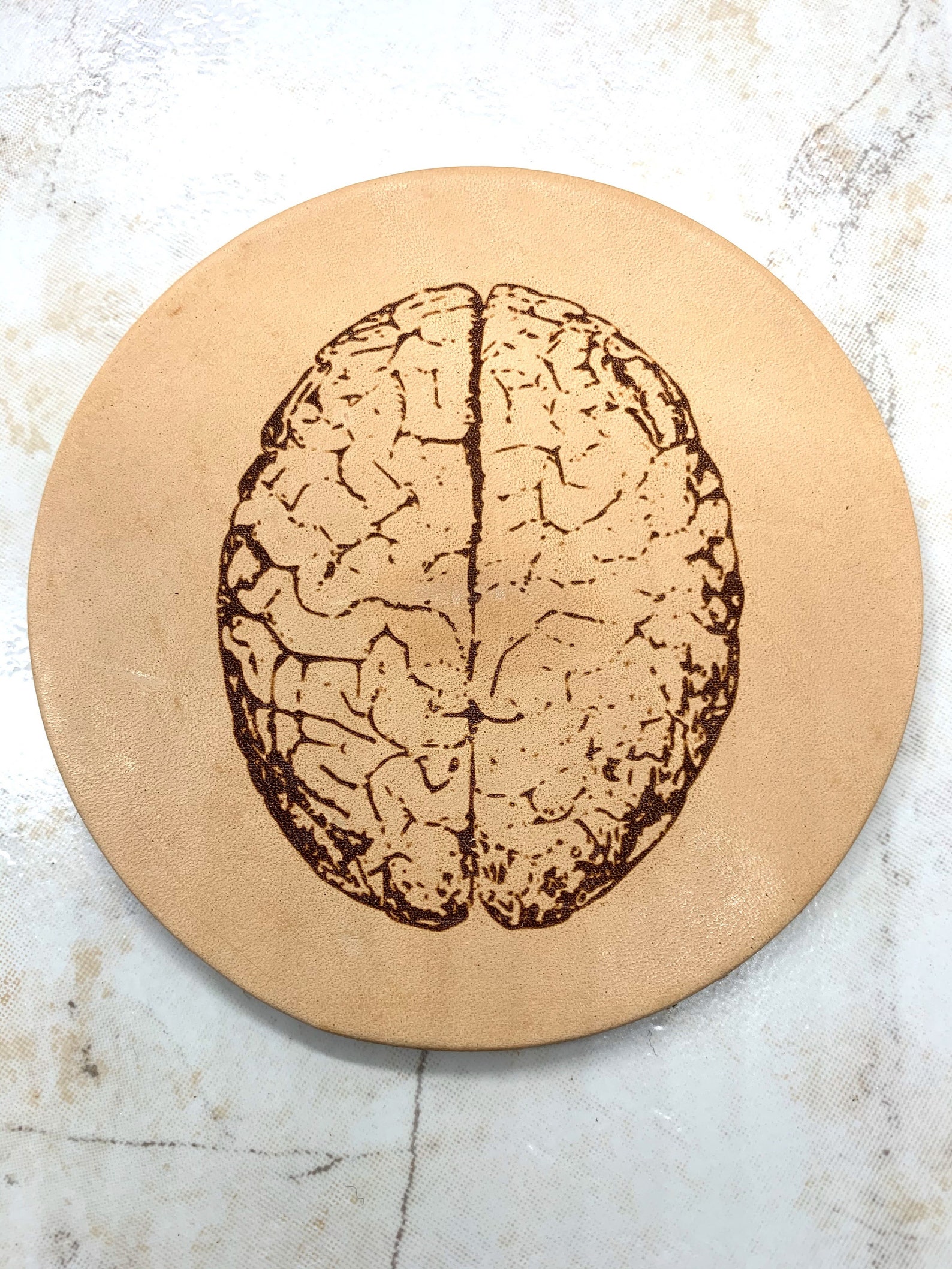 Set-human Anatomy Leather Coasters,nurse,doctor,medical School Gift ...